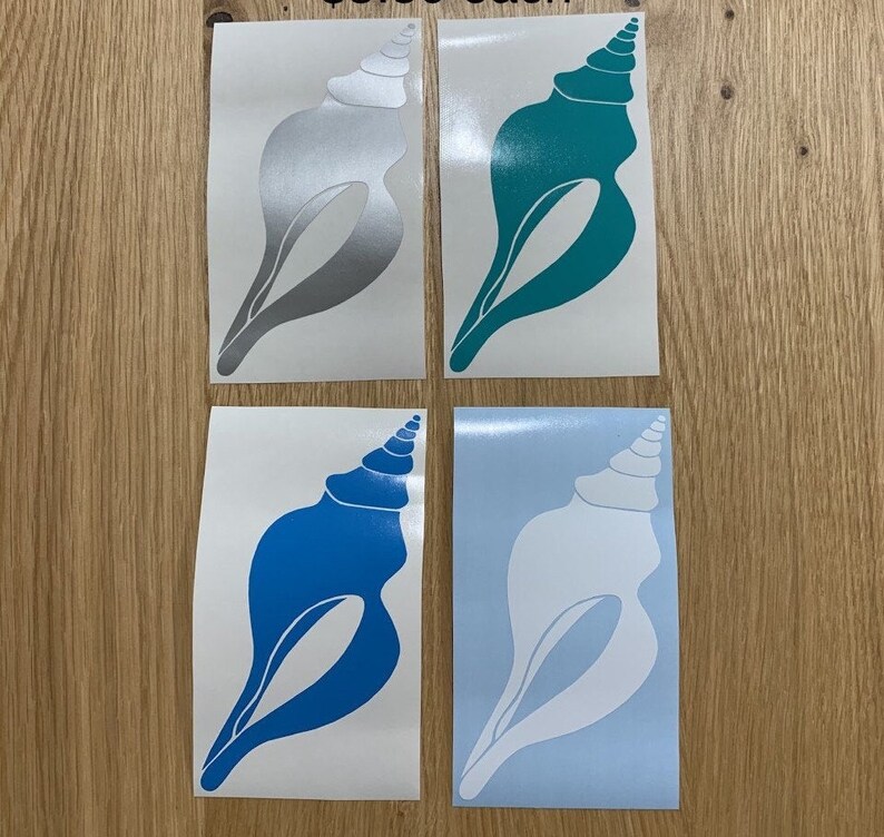 Horse Conch Shell Vinyl Decal Sticker Ocean Beach Coastal - Etsy