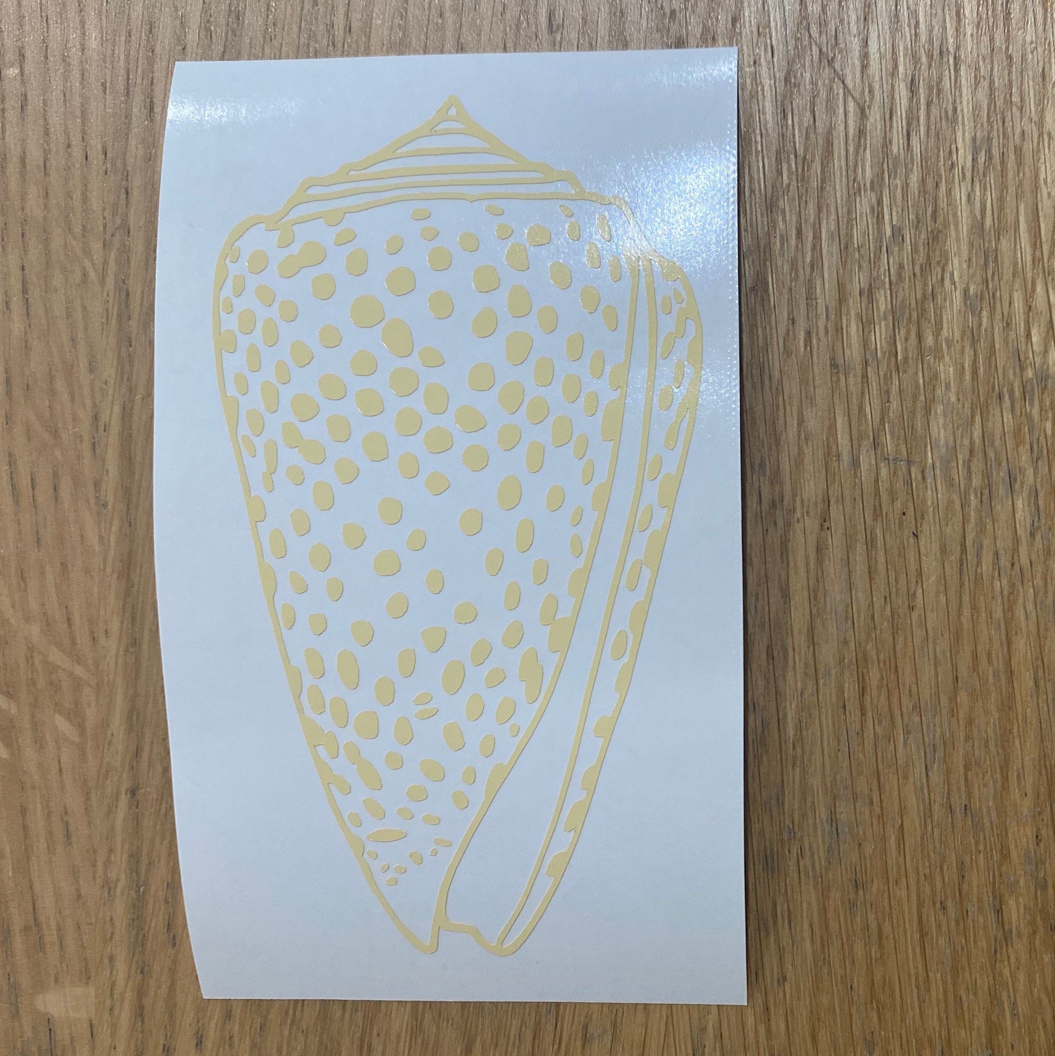 Flea Cone Shell Vinyl Decal Sticker Ocean Beach Coastal | Etsy