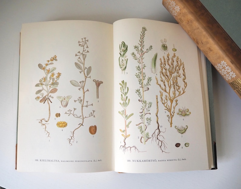 Vintage Botanical Book Set | Pohjolan Kasvit – Nordens Flora | Finnish ...