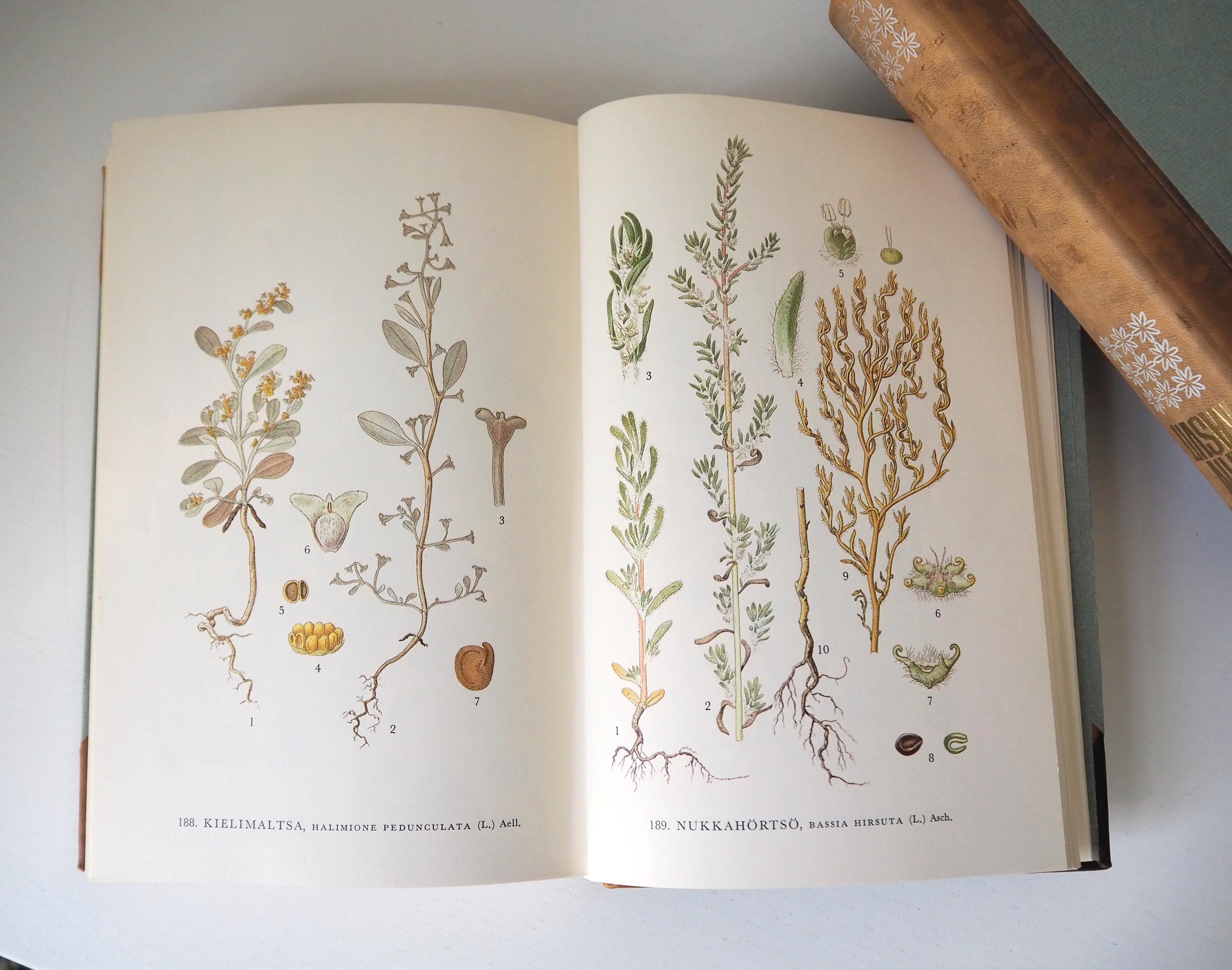 Vintage Botanical Book Set | Pohjolan Kasvit – Nordens Flora | Finnish ...