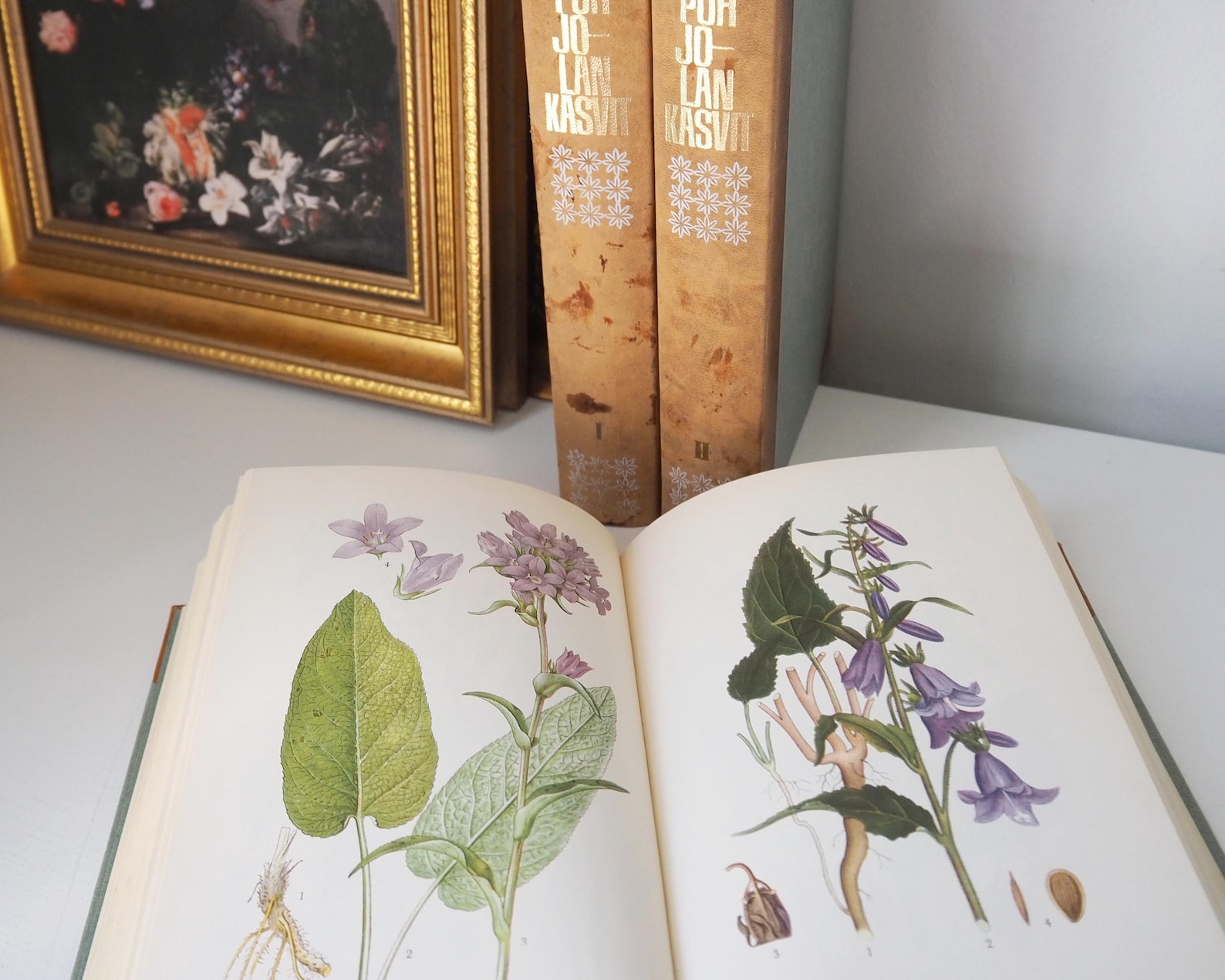 Vintage Botanical Book Set | Pohjolan Kasvit – Nordens Flora | Finnish ...