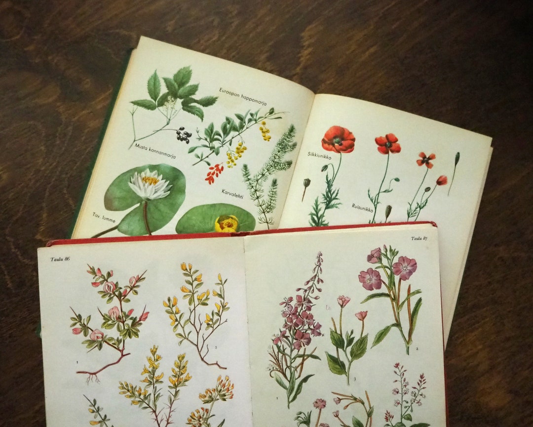 Vintage Flower Book Set | Finnish Flower Books | Vintage Botanical ...