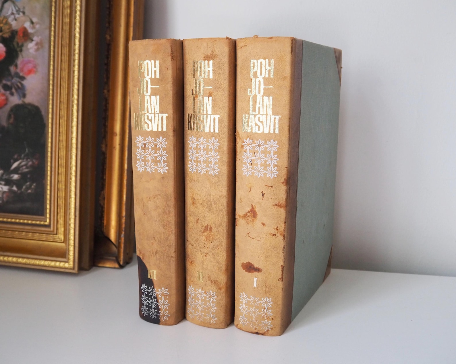 Vintage Botanical Book Set | Pohjolan Kasvit – Nordens Flora | Finnish ...