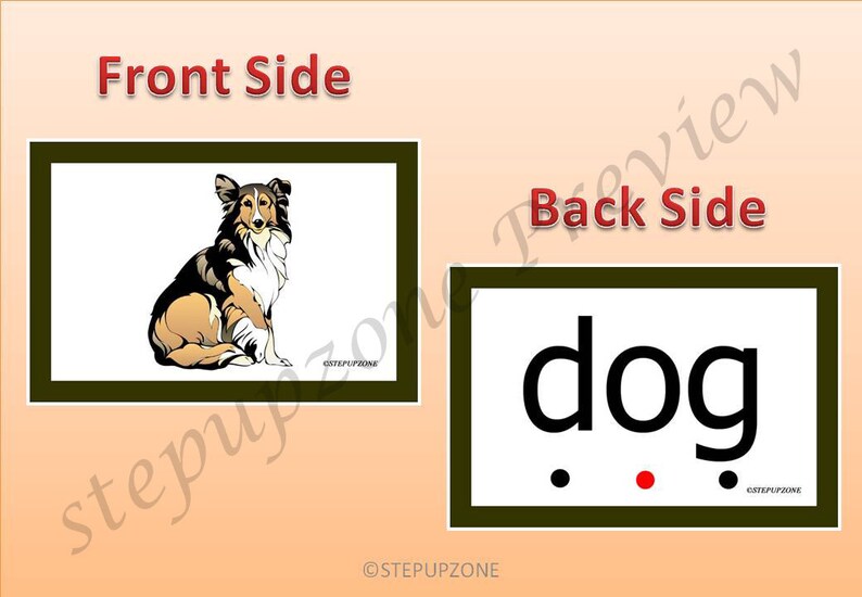 Phonics CVC Words Short Vowels Three Letter Words - Etsy