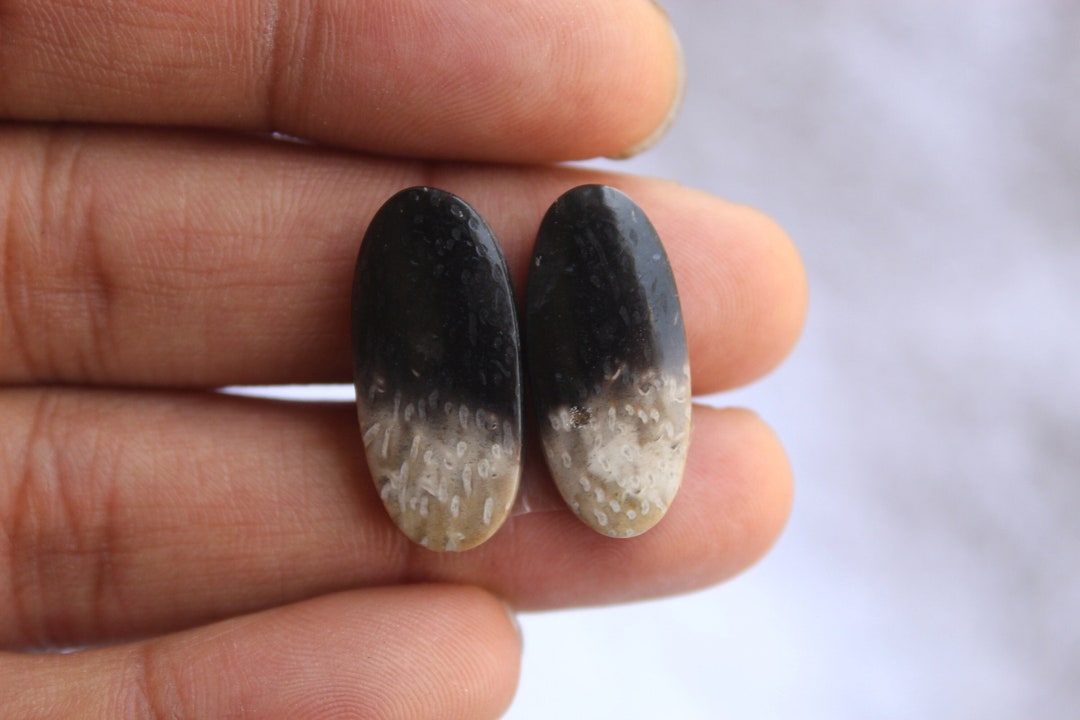 Natural Palm Root Gemstone Oval Shape Cabochon Pair for Jewelry Making ...