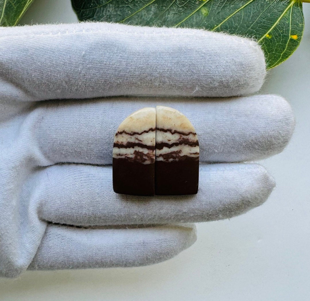 Coffee Jasper Fancy Shape Matching Pair for Jewelry Making - Etsy