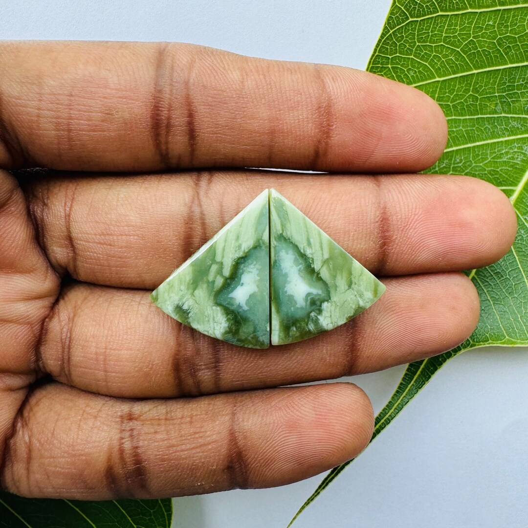 Serpentine Fancy Shape Matching Pair for Jewelry Making,,, 22X13X4 Mm ...