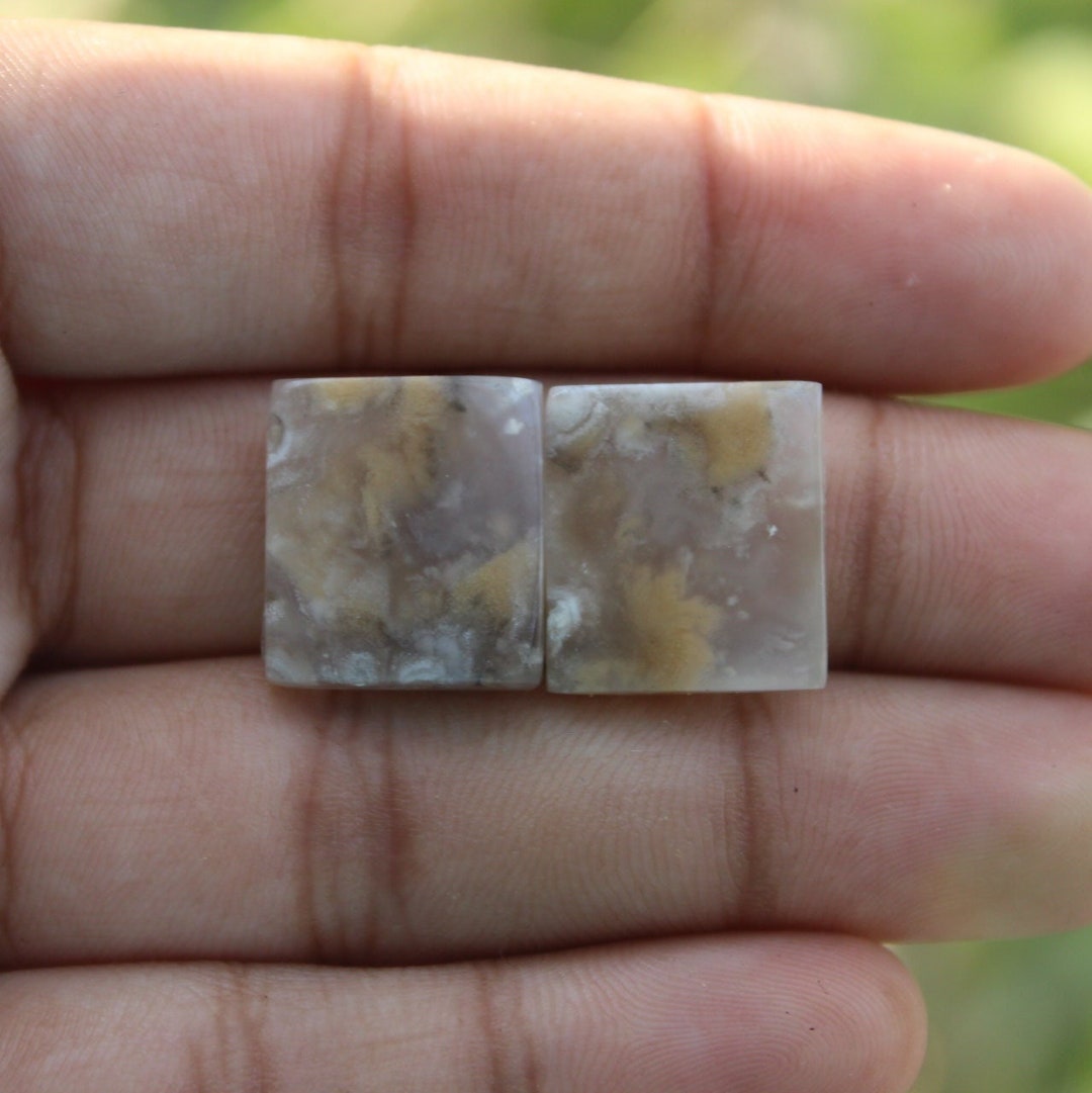 Tiger Dendritic Agate Rectangle Shape Matching Pair for Earrings Making ...