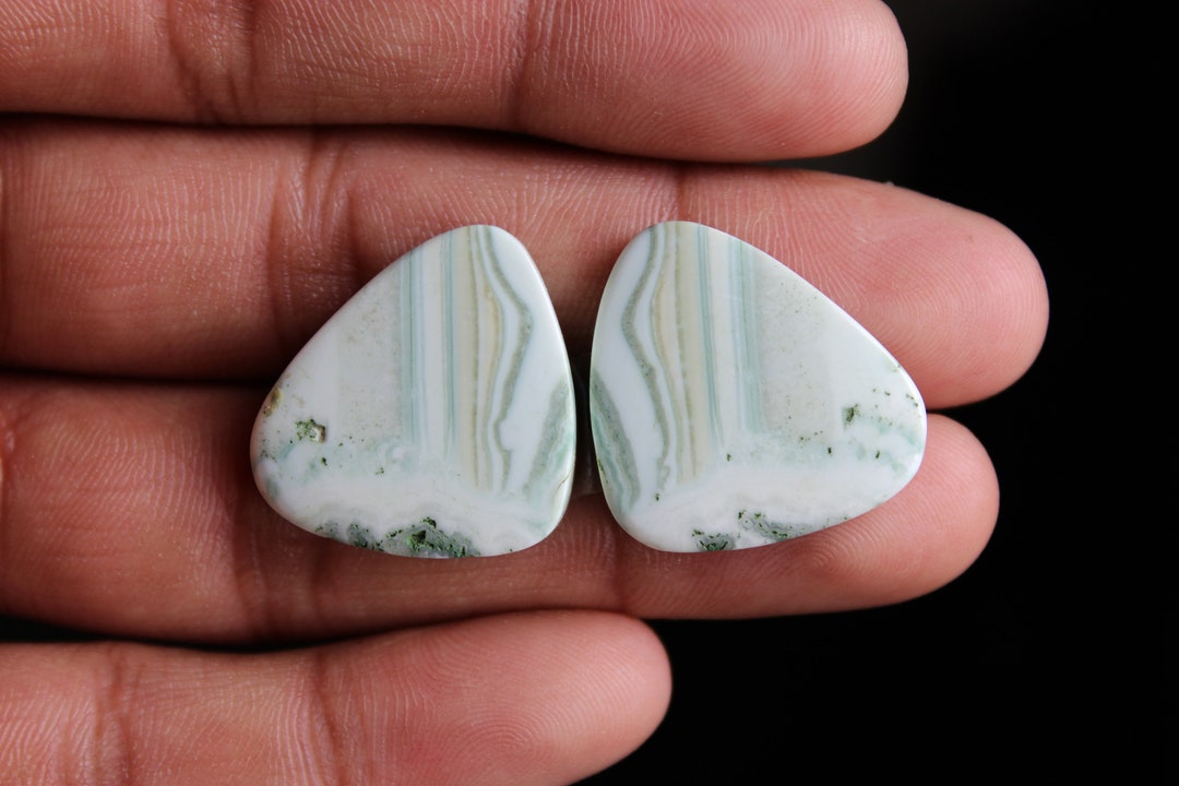 Amazing Serpentine Fancy Shape Matching Pair,,23x24x4mm (front Drilling ...