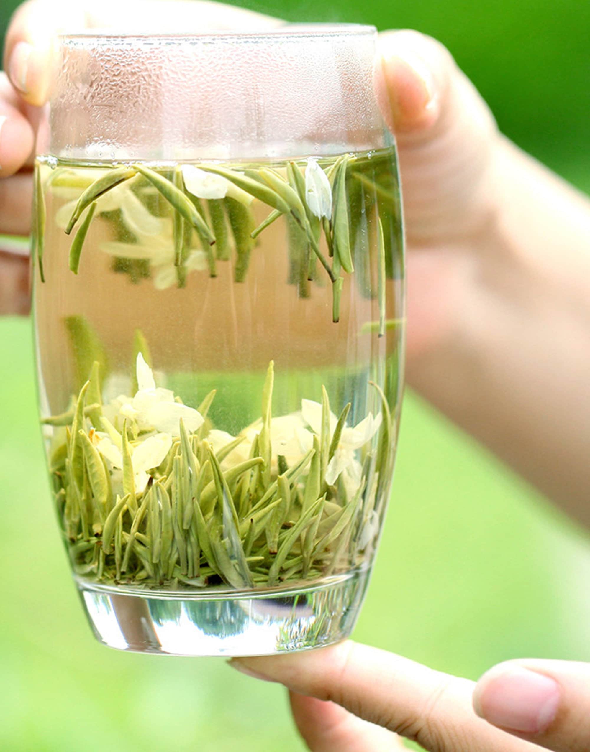 Jasmine and Emeishan Snow Bud Tea,jasmine and Emeishan Snow Bud Teas ...