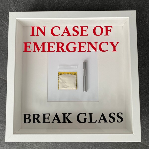 In Case of Emergency Break Glass - Etsy