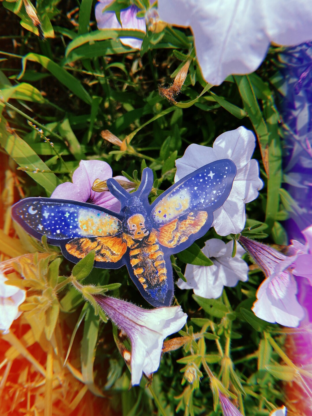 Night Sky Holographic Death's Head Hawk Moth Sticker - Etsy