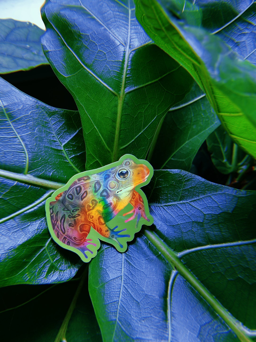 Leopard Frog Holographic Sticker - Etsy