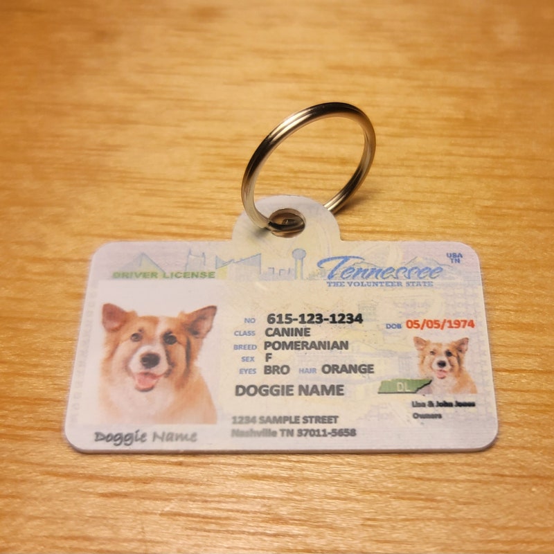 Dog Driver License - Etsy