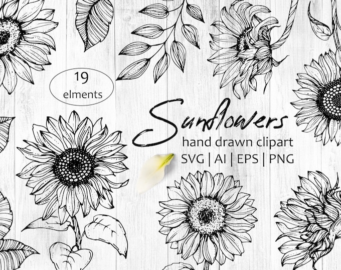 Daisy SVG, PNG Daisy Clipart, Printable Flowers, Line Art Daisy ...