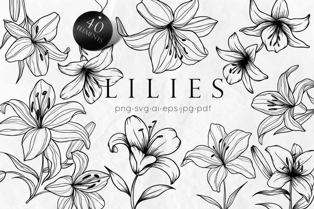 Lily SVG - Flowers Line Art SVG - Floral SVG - Wedding Flowers Clipart ...