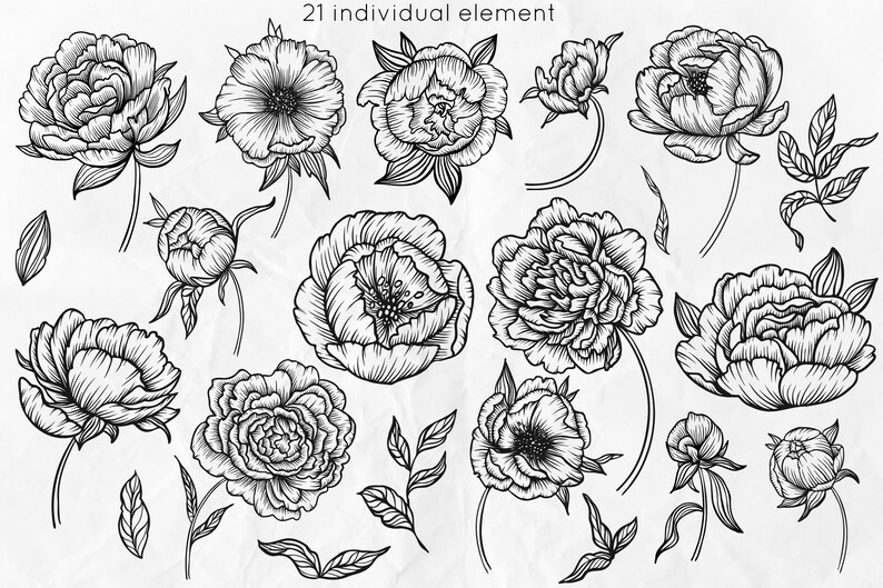 Peonies SVG Peony Line Art SVG Floral SVG Wedding - Etsy