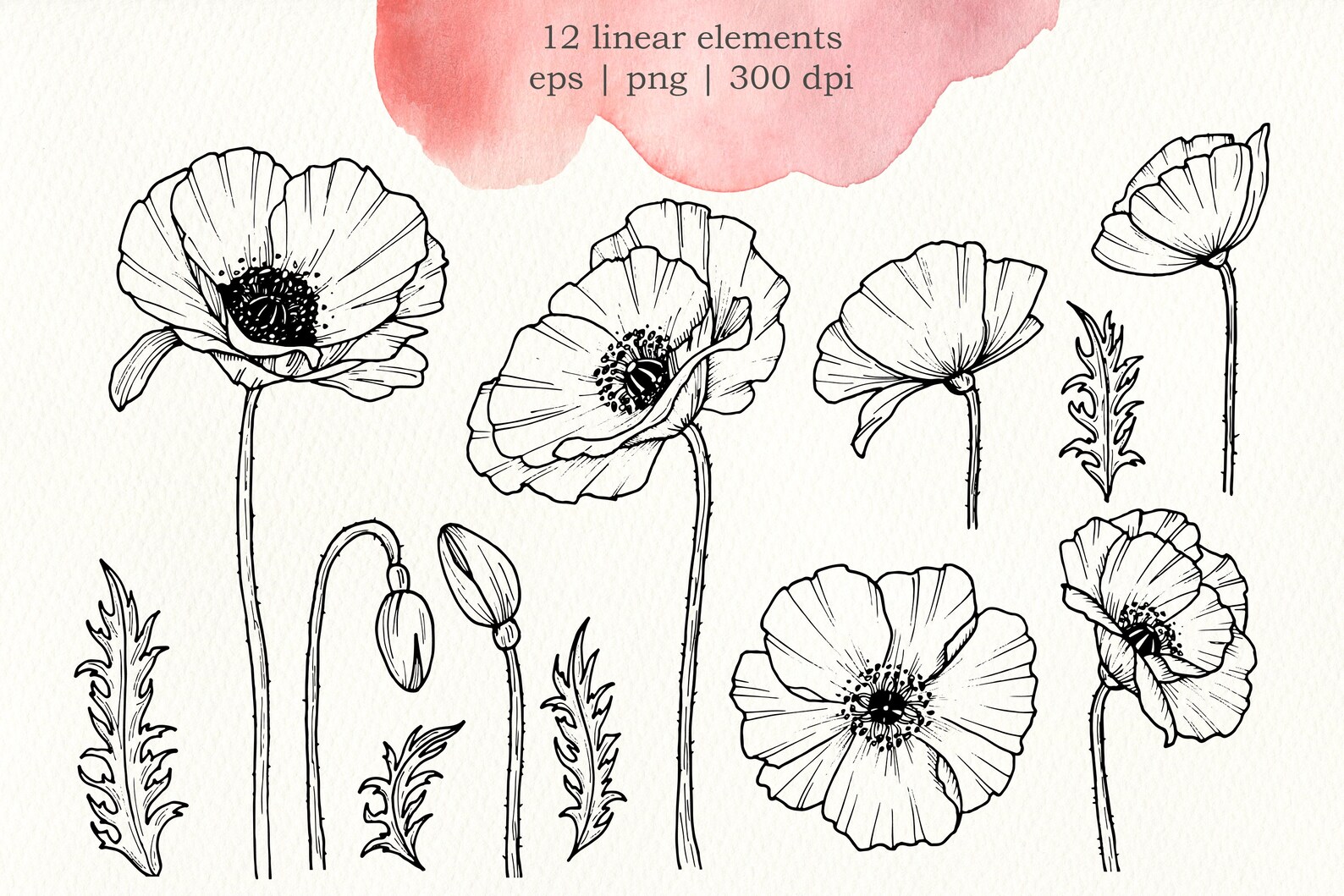 Watercolor Poppy Flowers. Isolated. Hand Painted Illustration. Red ...