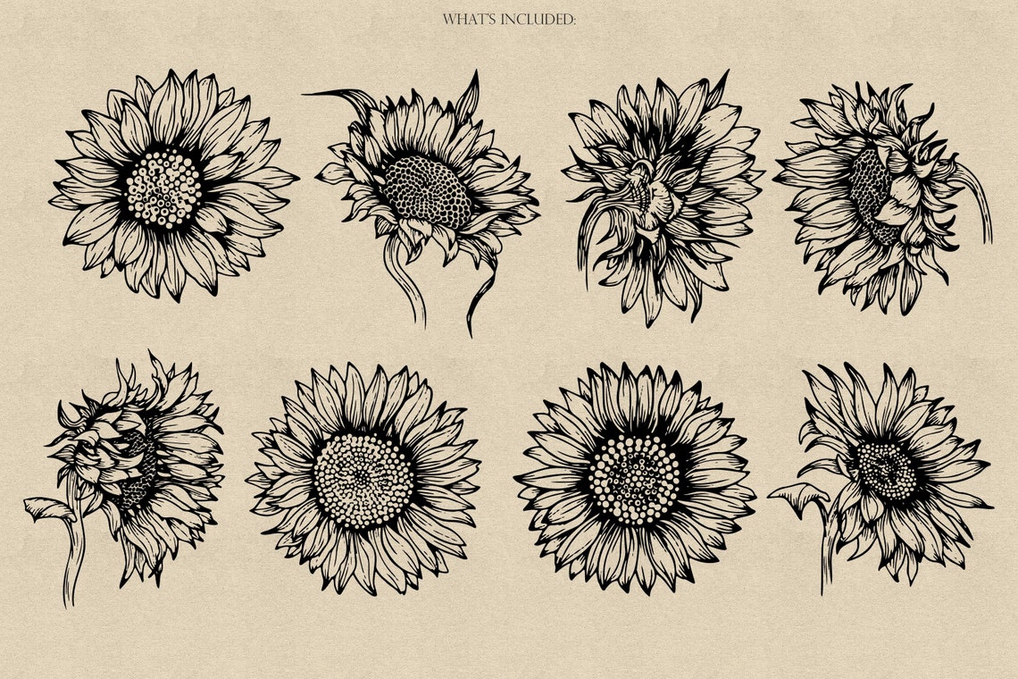 Sunflowers Procreate Stamps, Sunflowers Brushes Procreate, Flower ...