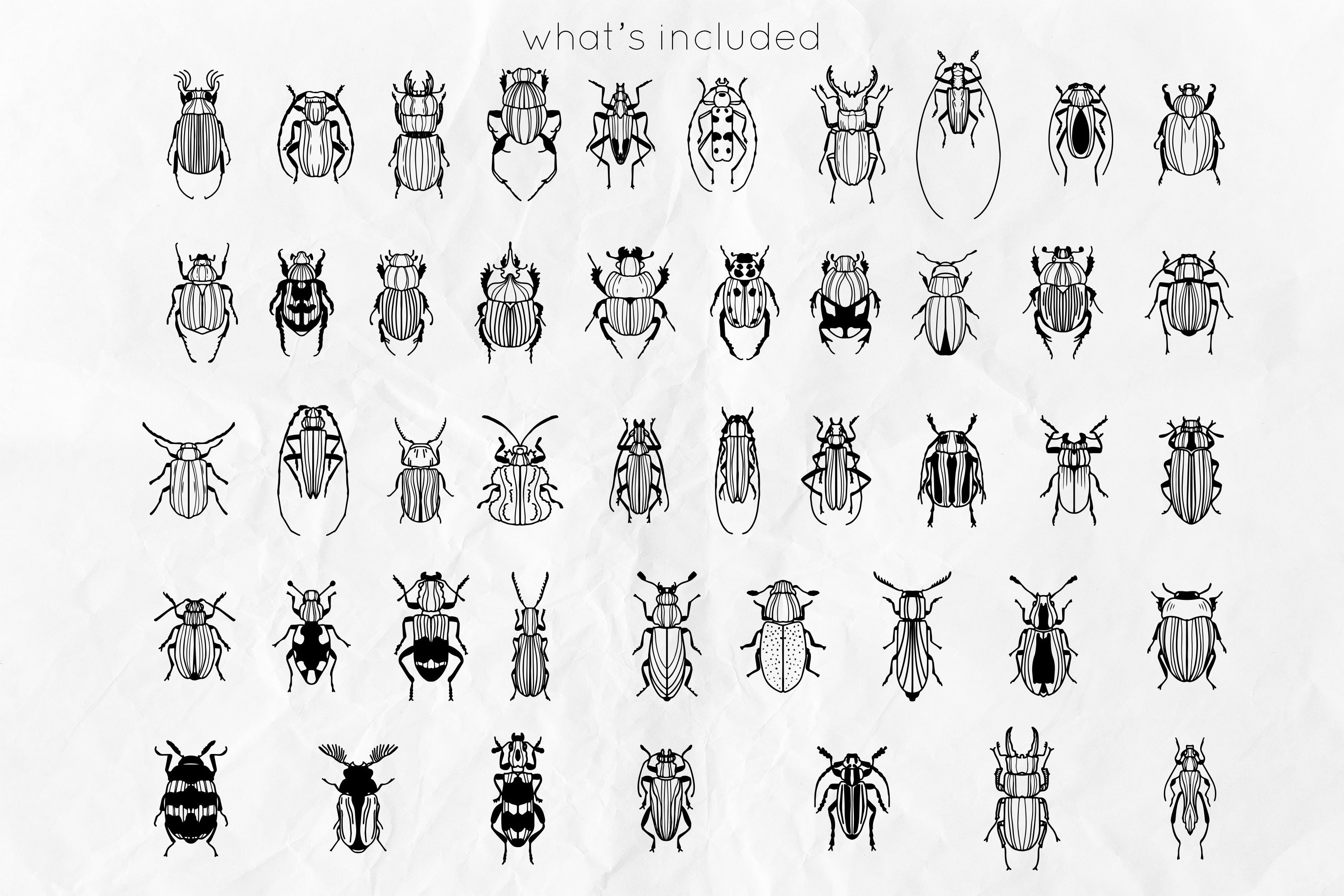 Bugs SVG Insects SVG Bugs Outline Clipart Beetle Svg Line - Etsy