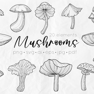 Mushroom Svg, Mushrooms SVG Bundle, Fall Svg, Mushrooms Clipart ...