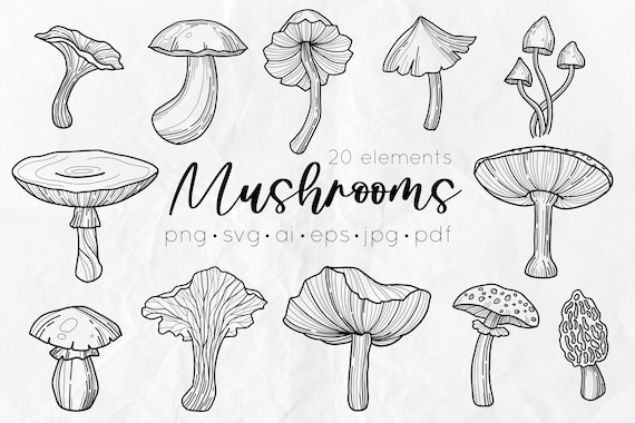 Mushroom Svg Mushrooms SVG Bundle Fall Svg Mushrooms - Etsy