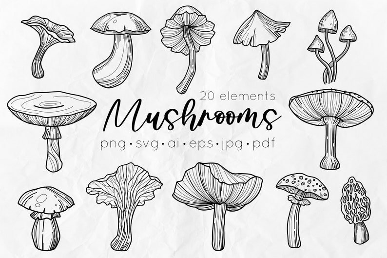 Mushroom Svg Mushrooms SVG Bundle Fall Svg Mushrooms - Etsy