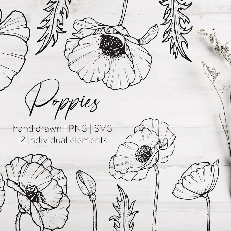 Poppy Line Art - Etsy