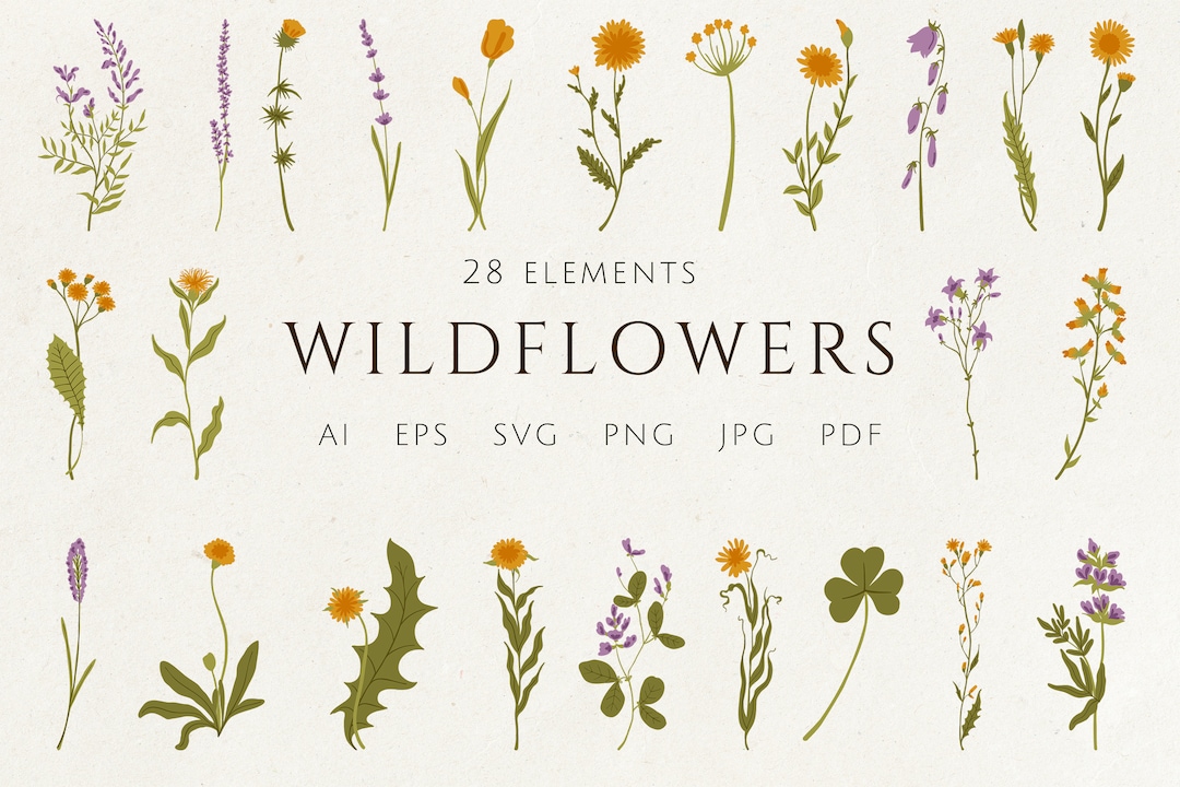Wildflowers SVG, Wildflower SVG Bundle, Floral SVG, Vector Flowers ...
