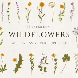 Wildflowers SVG, Wildflower SVG Bundle, Floral SVG, Vector Flowers ...