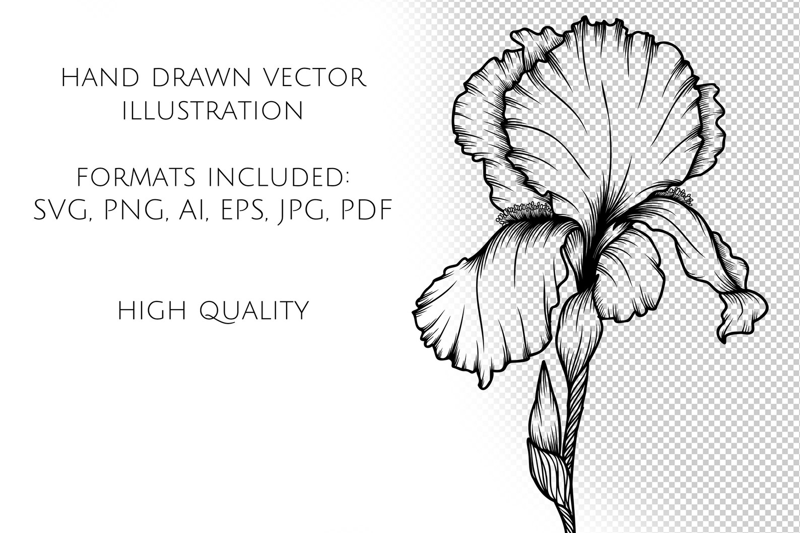 Line Art Flowers SVG - Iris SVG - Outline Flowers - Irises Flowers Svg ...