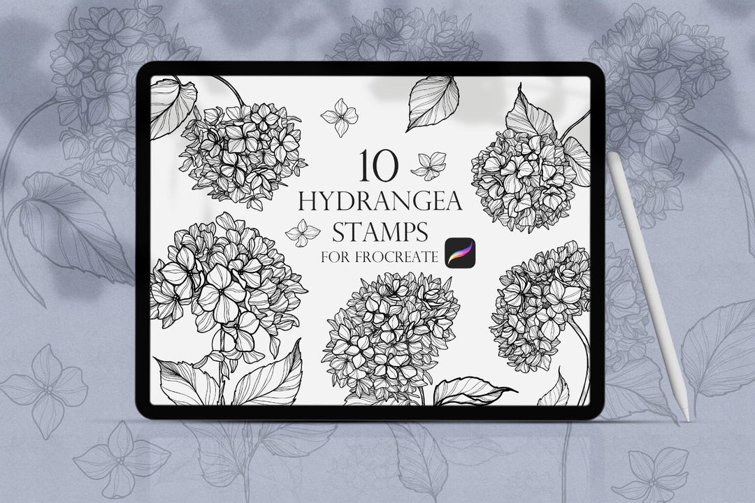 Hydrangea Procreate Stamps, Daisy Brushes Procreate, Flower Stamps, Procreate Brushset, Line Art ...