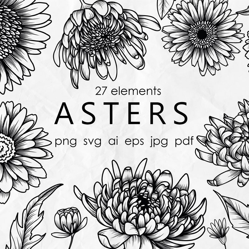 Aster Flower - Etsy