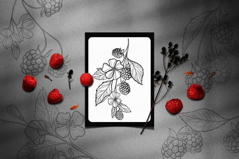 Raspberry Svg Botanical Line Art Floral Svg Berries - Etsy