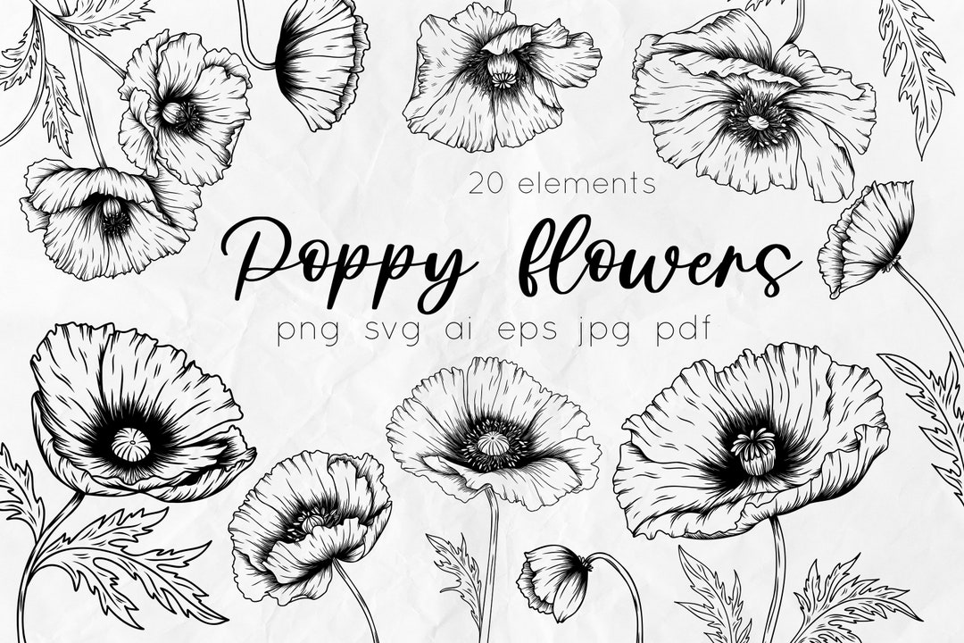 Poppy Svg, Flowers Svg, Flowers Line Art Svg, Poppies Line Art Svg ...