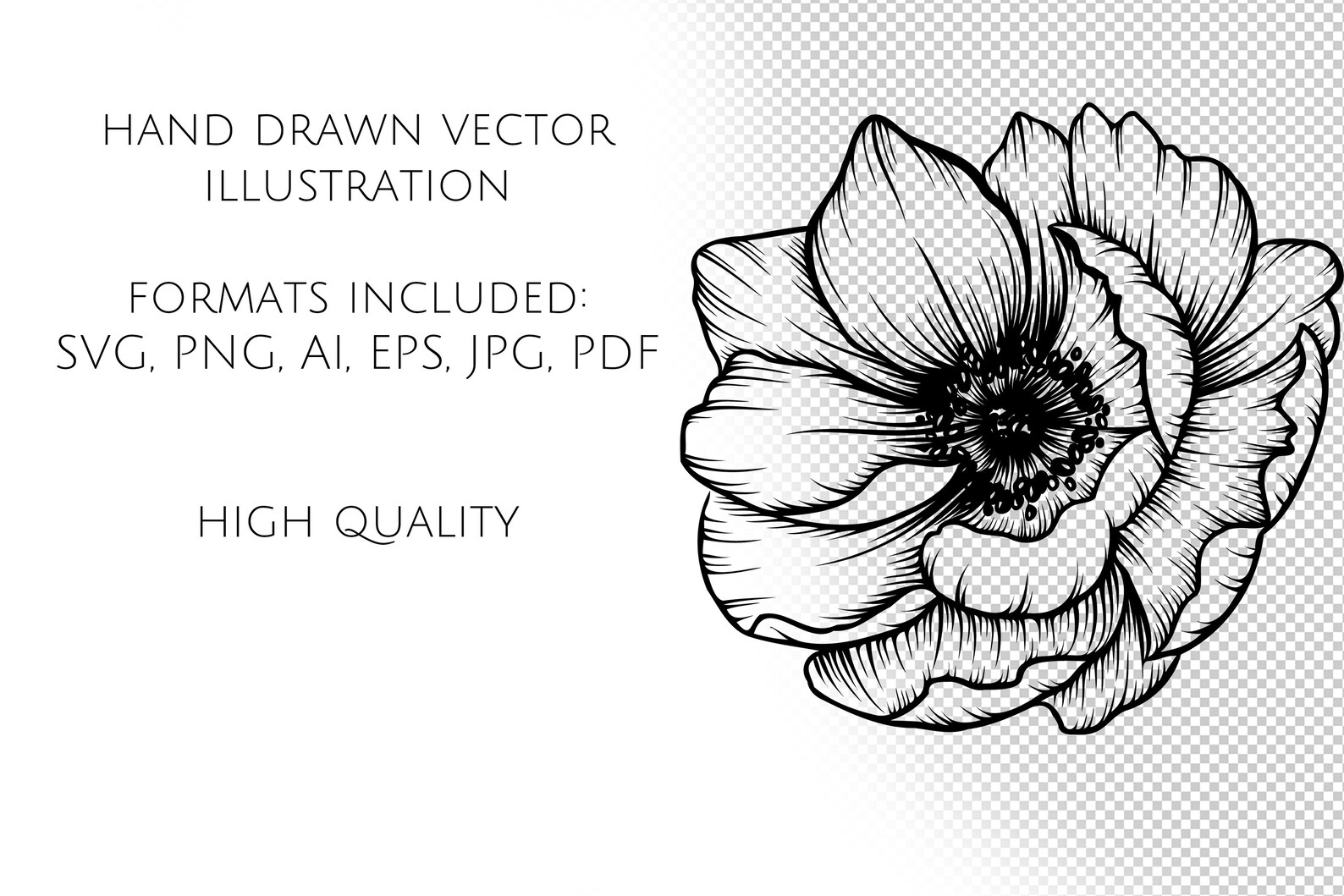 Poppy Svg Anemones Flowers Svg Line Art Floral Botanical - Etsy