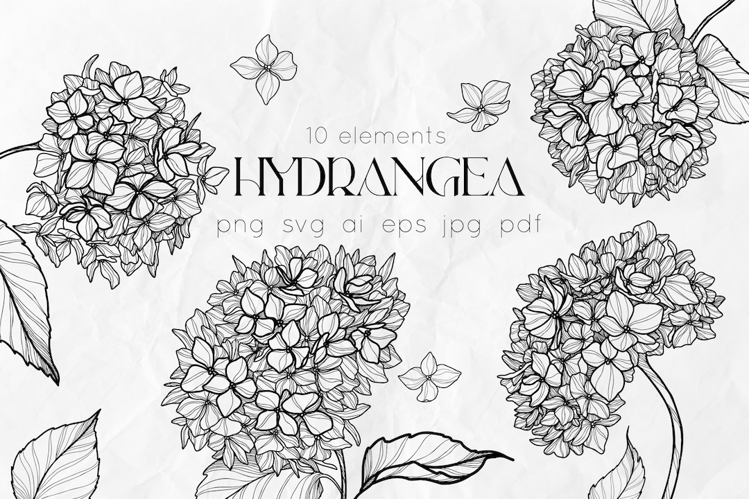 Hydrangea SVG - Flowers Line Art SVG - Floral SVG - Wedding Flowers ...