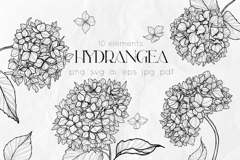 Hydrangea SVG - Flowers Line Art SVG - Floral SVG - Wedding Flowers ...