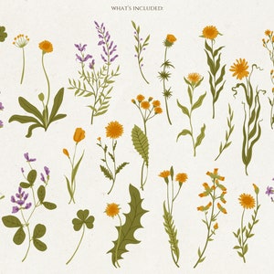 Wildflowers SVG, Wildflower SVG Bundle, Floral SVG, Vector Flowers ...