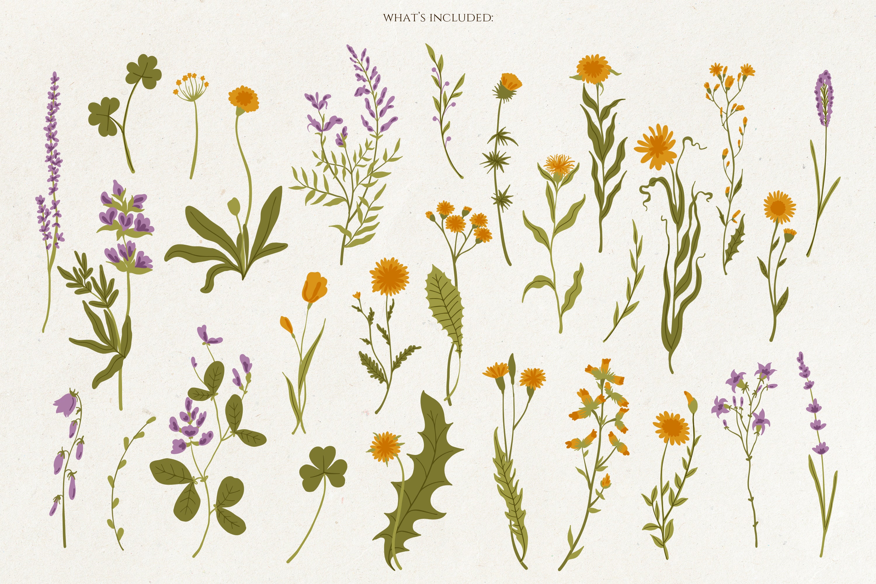 Wildflowers SVG, Wildflower SVG Bundle, Floral SVG, Vector Flowers ...