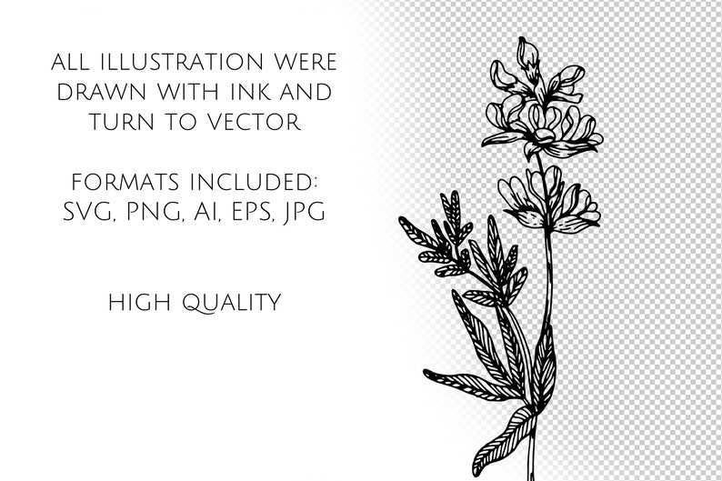 Wildflowers Svg Wildflower Svg Bundle Floral Svg Line Art Etsy