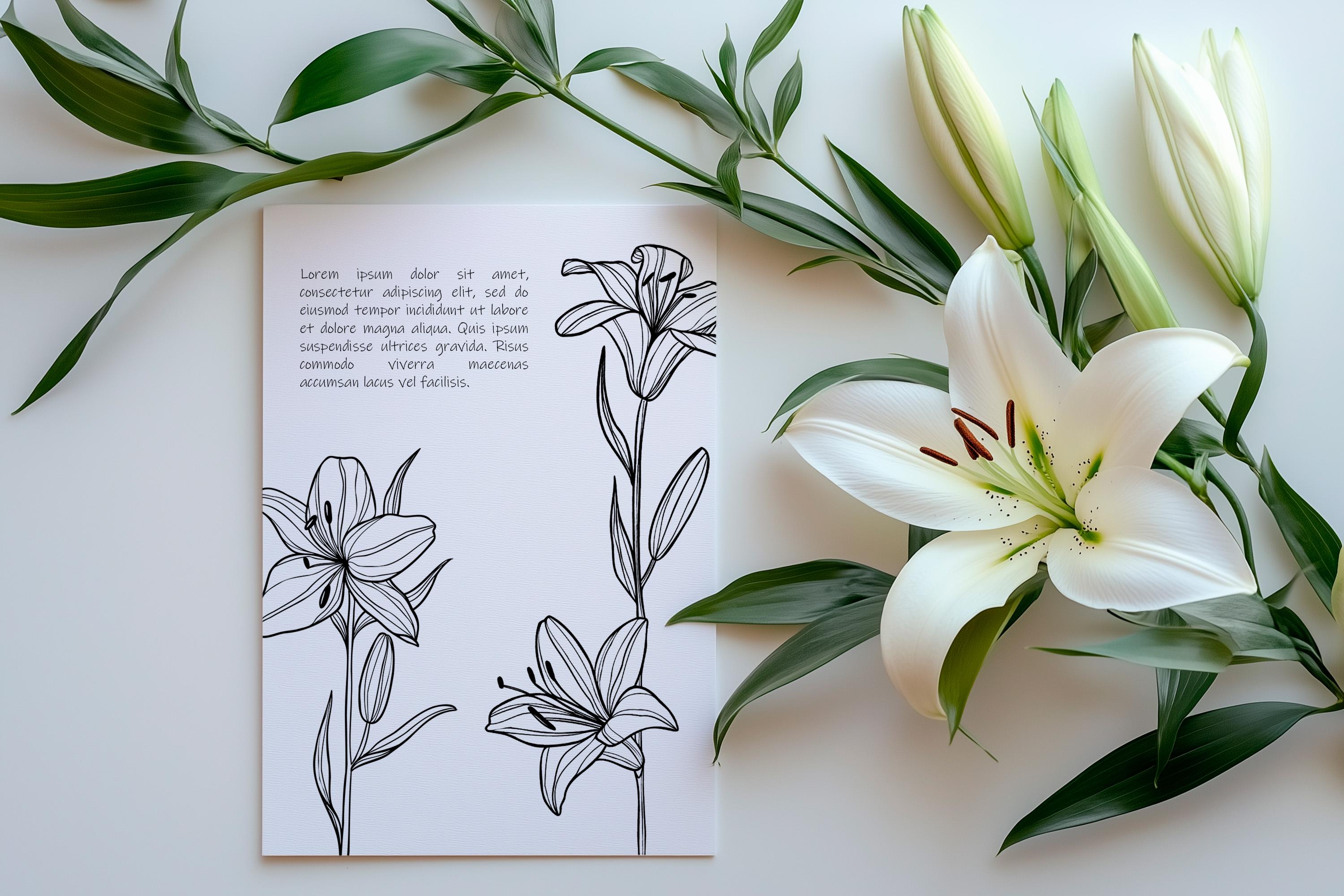Lilies Procreate Stamps, Lily Brushes Procreate, Flower Stamps ...