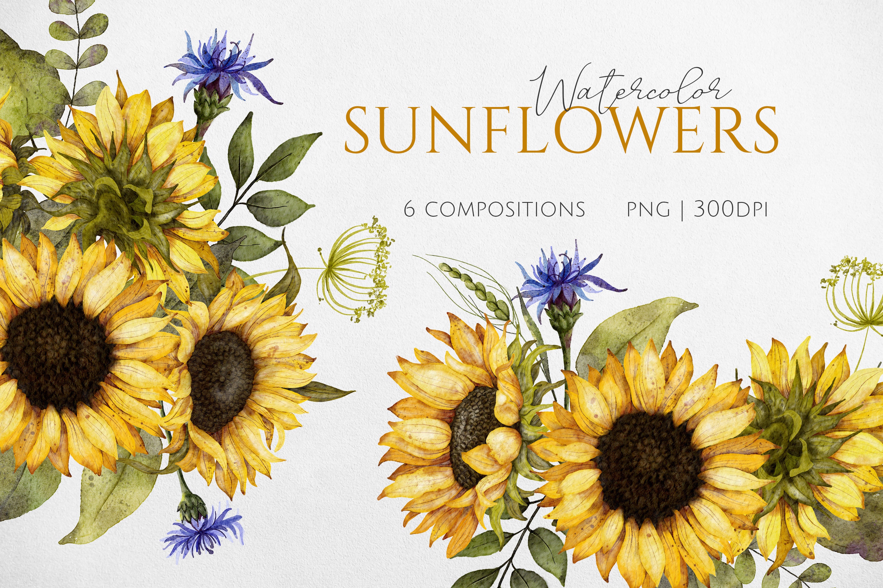 Sunflowers Watercolor Bouquets Sunflowers Composition Floral - Etsy