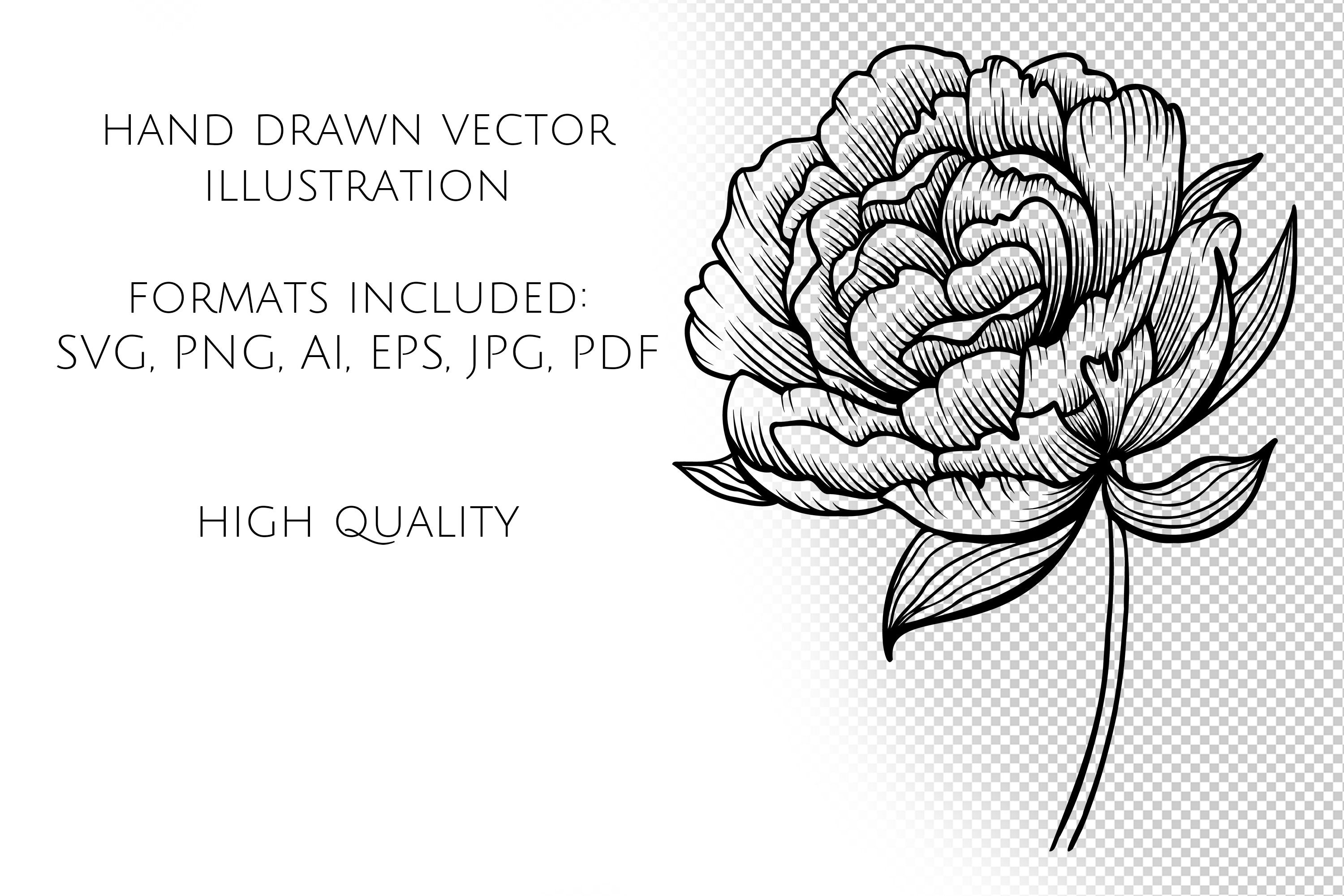 Peonies SVG Peony Line Art SVG Floral SVG Wedding - Etsy