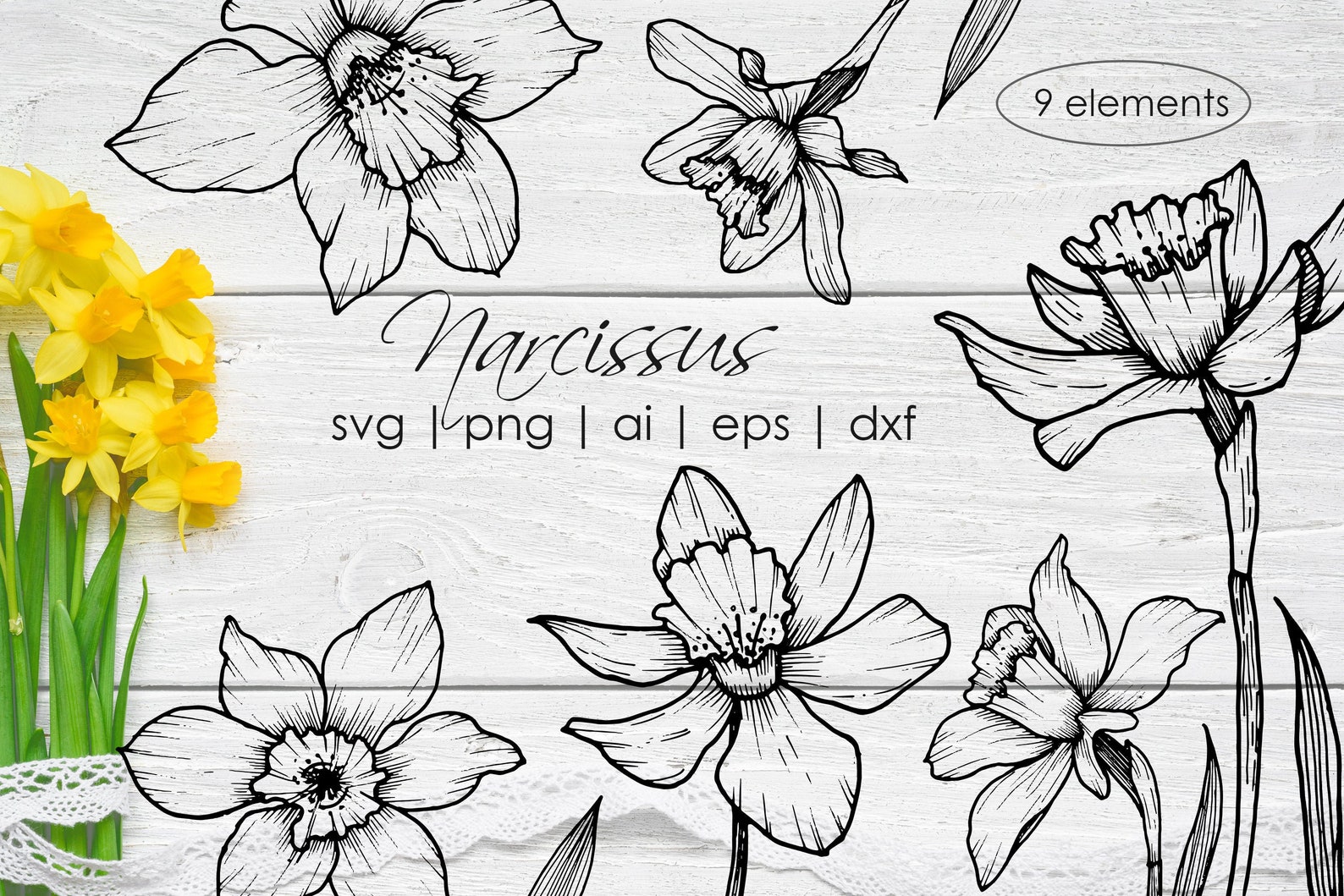 Narcissus Flowers PNG, Flowers Svg, Wildflower Svg, Line Art Doodle ...
