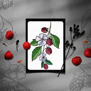 Raspberry Svg, Berries Svg, Vector Flowers, Vintage Botanical, Svg ...