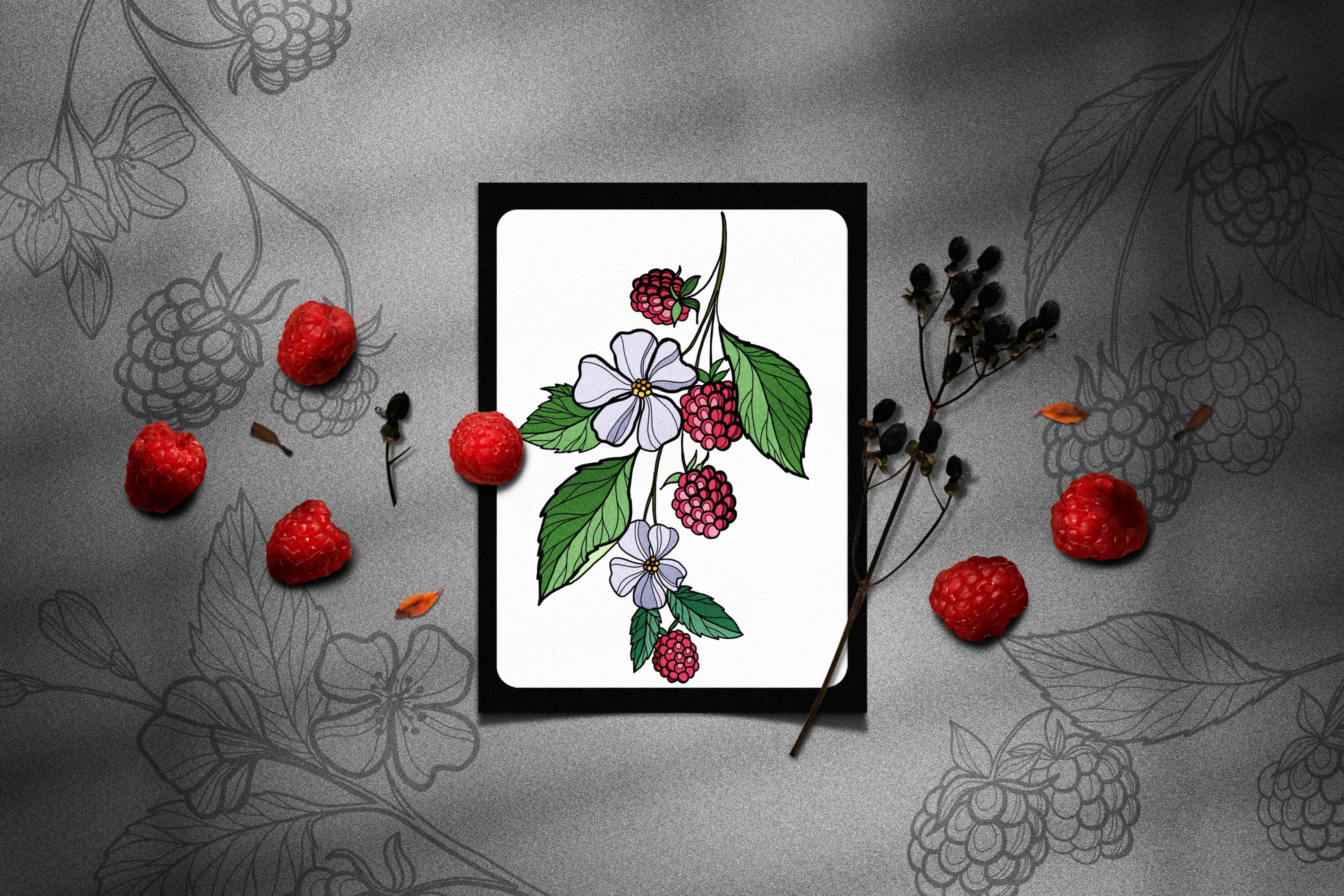 Raspberry Svg, Berries Svg, Vector Flowers, Vintage Botanical, Svg ...