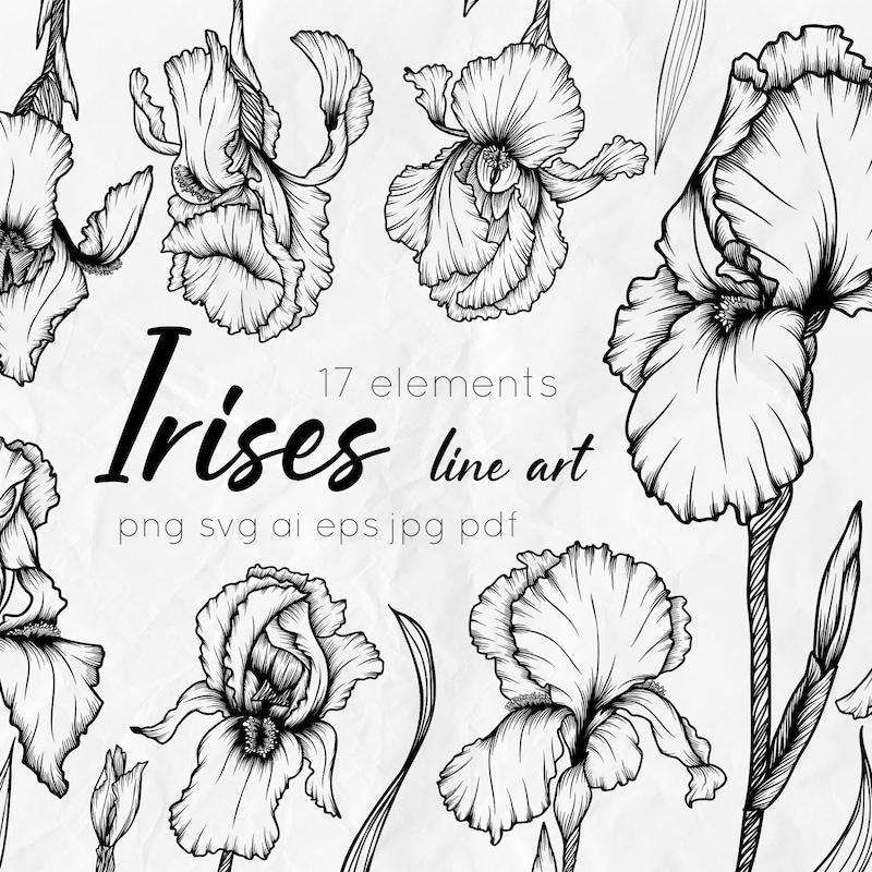 Iris Flower Art - Etsy