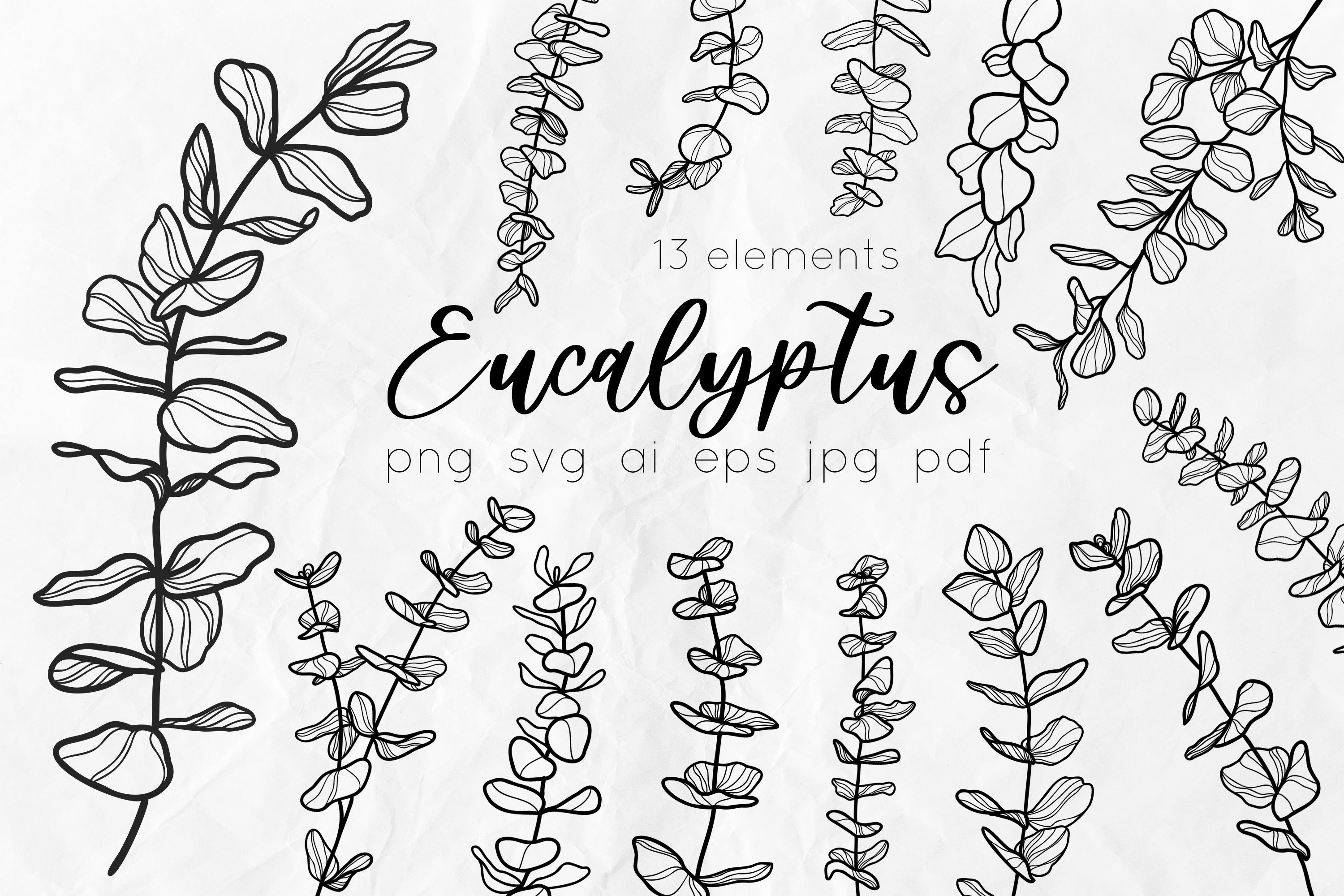 Eucalyptus SVG Eucalyptus Line Art SVG Leaves SVG - Etsy Australia