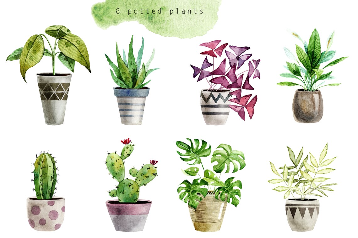 Watercolor Indoor Plants Clipart. House Greenery. Wedding Invitation ...
